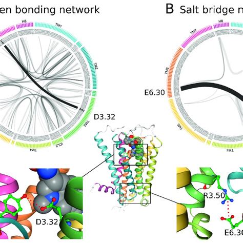 The Common Framework For The Detection Of Allosteric Networks Comprises Download Scientific
