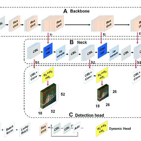 Schematic Architecture Of Dynahead Yolo A The Details Of Backbone Download Scientific