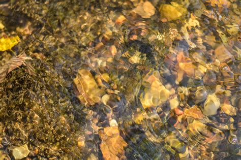 Effects Of Temperature On Forested Streams The River Basin Center