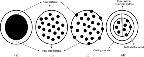 Different Types Of Microcapsules A Mononuclear Reservoir Type B