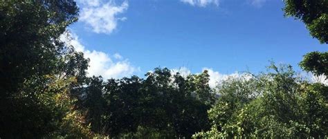 【问与答】你为什么把性变成了一个问题？ First In Sex