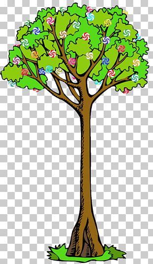 Branch Tree Drawing PNG Clipart Art Branch Drawing Flora Flower Free PNG Download