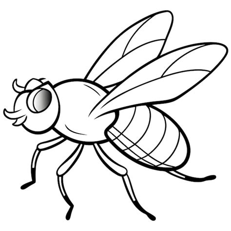 Premium Vector Funnel Web Spider Looks Icon Vector