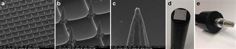 Electron micrographs of a high density array of 200 μm long silicon Download Scientific Diagram