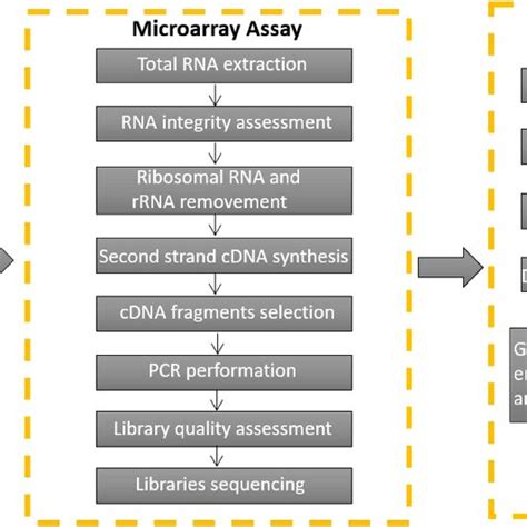Analytical Process Of This Study Download Scientific Diagram