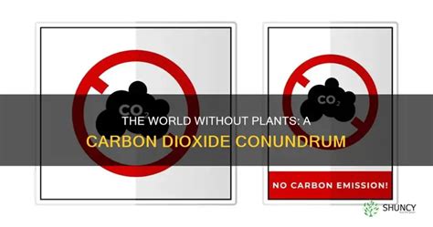The World Without Plants A Carbon Dioxide Conundrum ShunCy