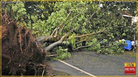 වරකාපොල දී කොළඹ නුවර ප්‍රධාන මාර්ගයට ගසක් කඩා වැටෙයි Hiru News Srilankas Number One News