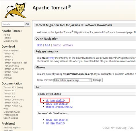 Tomcat 8 升级为 Tomcat10（踩坑记录） Csdn博客