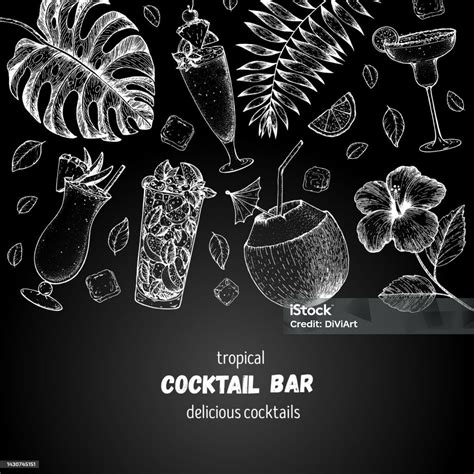 알코올 칵테일 손으로 그린 벡터 일러스트레이션 칵테일 스케치 세트 각인 된 스타일 열대 컬렉션 여름 시간 Gin Tonic에 대한 스톡 벡터 아트 및 기타 이미지 Istock