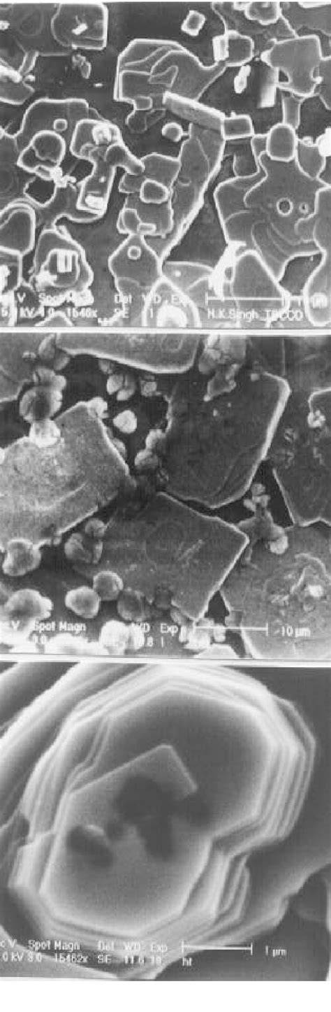 Representative SEM Micrographs Showing The Surface Morphology Of A As Download Scientific
