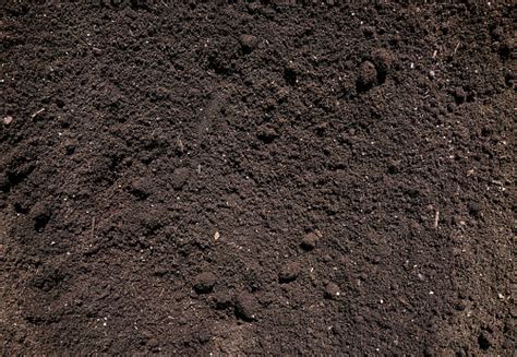 500 Soil Pictures Download Free Images On Unsplash