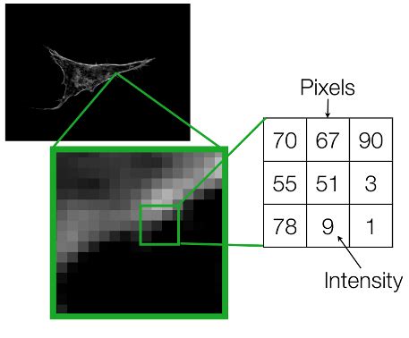 Blog How To Convert Images From Spatial Domain To Frequency Domain