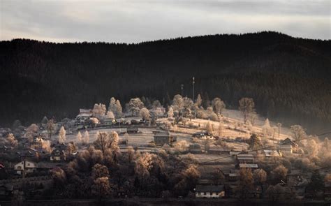 How To Scale Rotate A Single Object Every Piece Of Wood Scales Even