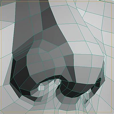 Facetopology Polycount
