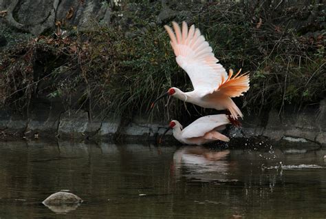 使用 Ffmpeg 截取视频片段时的精度问题 李一线的博客