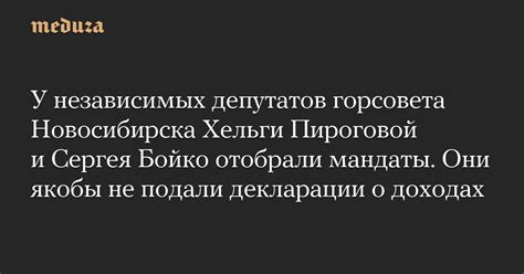 У независимых депутатов горсовета Новосибирска Хельги Пироговой и Сергея Бойко отобрали мандаты