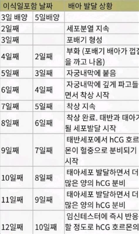 시험관2차 3일배양이식후 임테기 1일~10일차 네이버 블로그