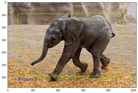 Classification With Localization Convert Any Keras Classifier To A Detector Learnopencv