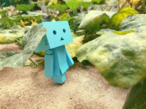 I 3d Printed My Own Danbo Ryotsuba