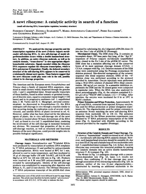 Pdf A Newt Ribozyme A Catalytic Activity In Search Of A Function