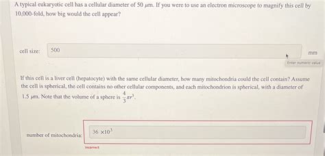 Solved Please Answer Both Parts Of The Question A Typical Eukaryotic