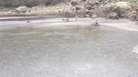 Miles De Peces Han Muerto Tras Sequías Extremas En Hidalgo Infobae