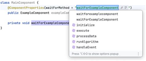 注解 Intellij Idea 文档