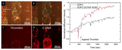 Lipid Formulation Was Found To Be Critical To Analyte Binding To The