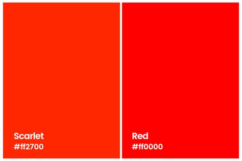 What Is Scarlet Color And The Difference Between Red