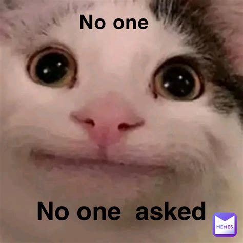 The Best 26 Discord Mods Kitten Meme Adustlinkesz