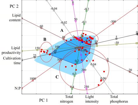 Projection Of The Studied Variables And Observations Onto The Factorial