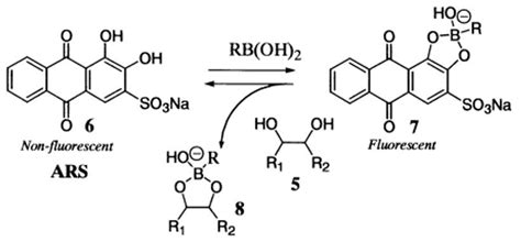 Competitive Binding Of A Boronic Acid With Ars And A 12 Diol