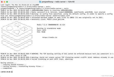 手把手安装部署redis(windows和mac)图文详解mac Redis Csdn博客 手把手安装部署redis(windows和mac)图文详解mac Redis Csdn博客