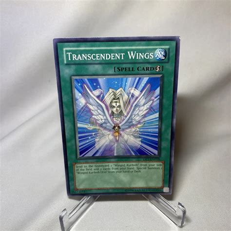 Transcendent Wings