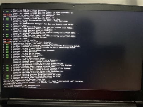 Failed To Start CLI Netfilter Manager And Failed To Mount Efi Newbie EndeavourOS