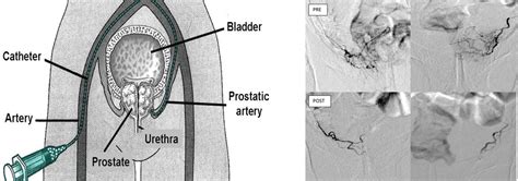 Our Services Clinics