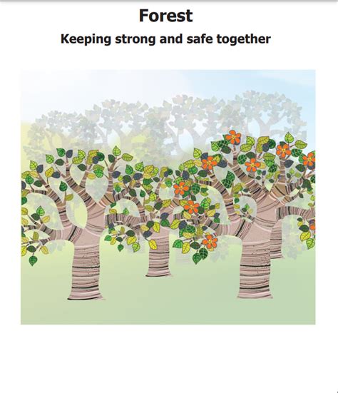 The Tree Of Life My Rights Supported Decision Making