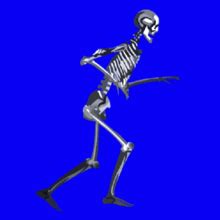S De Running Skeleton Tenor