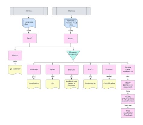 Github Birgitrijversngs Assignment Workflow Repository Of The Ngs Workflow Building