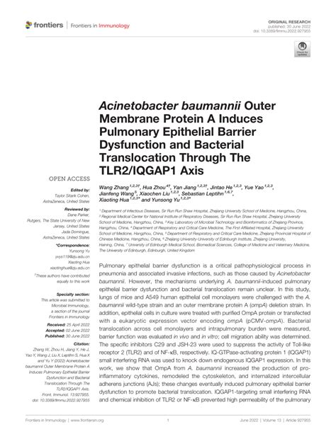 Pdf Acinetobacter Baumannii Outer Membrane Protein A Induces