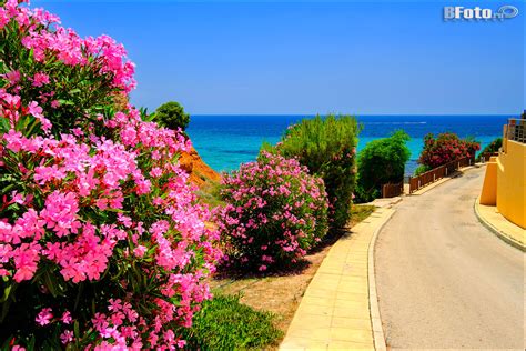 фото высокого разрешения для печати фотообоев