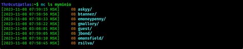 Ctf Skyfall Linux Insane Infiltrators Hideout