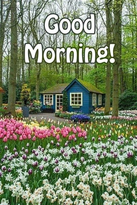 Good Morning Garden Flowers Images