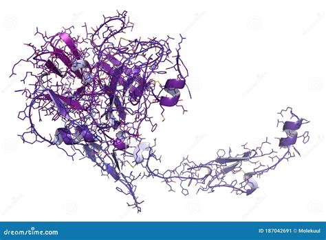 Structure Of Coagulation Factor Viii Royalty Free Stock Image