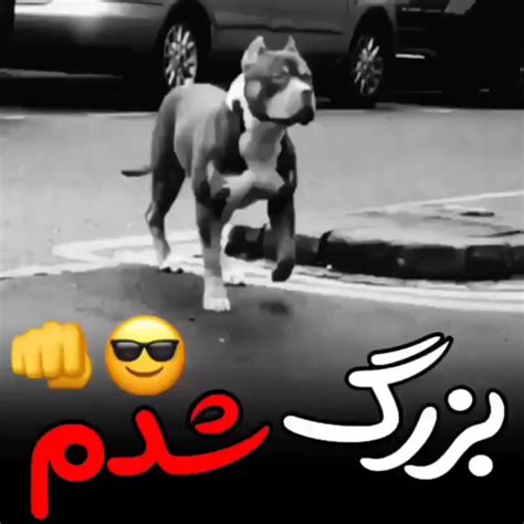 کلیپ پسرانه خفن