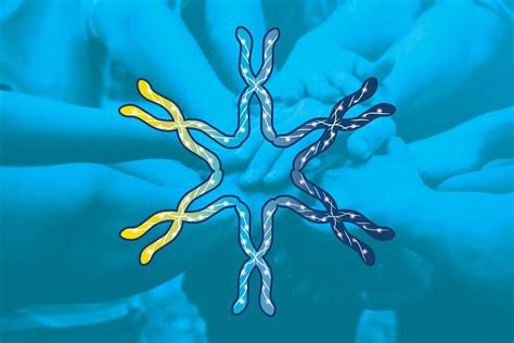 Telomere Biology Disorders Diagnosis And Management Guidelines