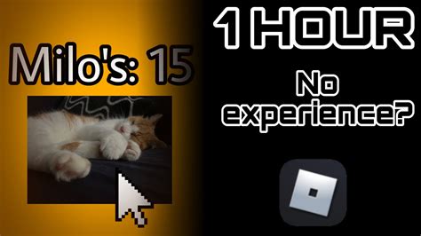 1 Hour To Make A Website In Roblox With No Experience Roblox Catweb Youtube