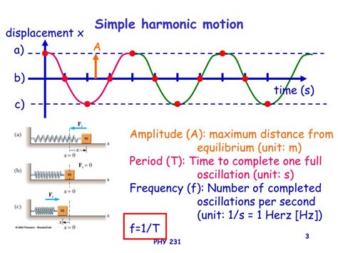 Simple Harmonic Motion Gulfbags