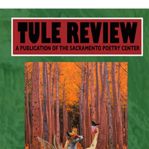 Tule Review Chill Subs