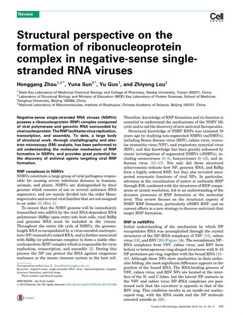 Pdf Structural Perspective On The Formation Of Ribonucleoprotein Complex In Negative Sense